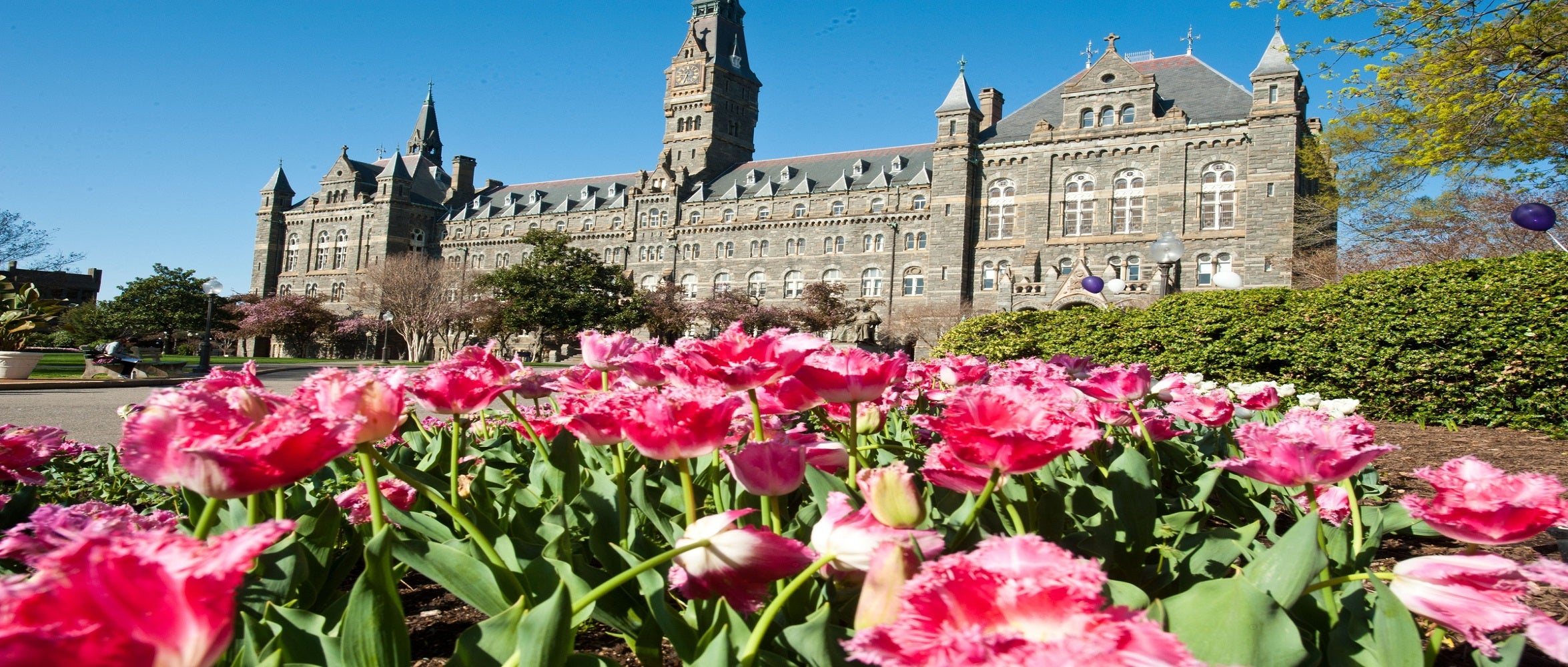 Career Resources | M.A. in Language & Communication | Georgetown University